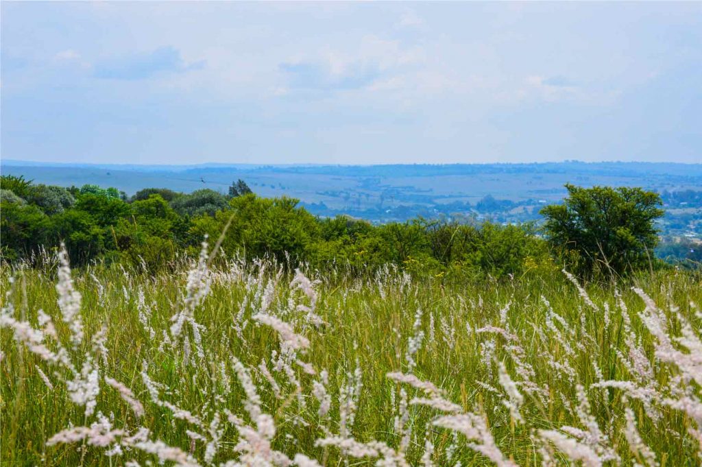 GALLERY - Stone Hill