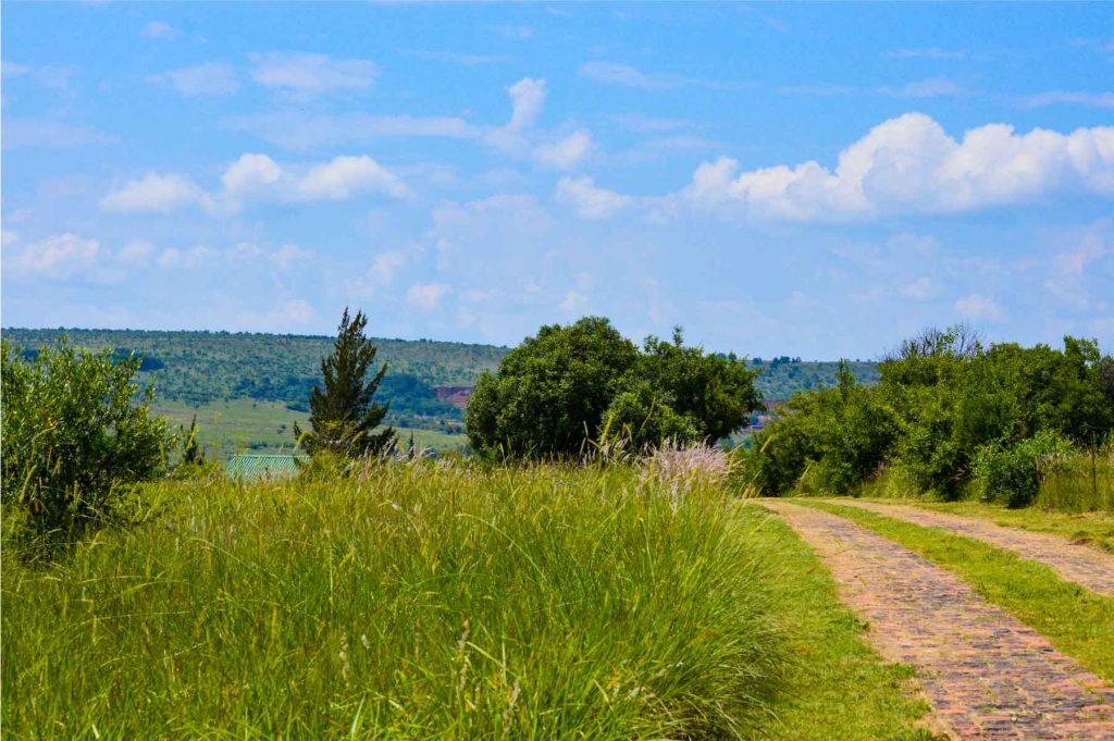 GALLERY - Stone Hill