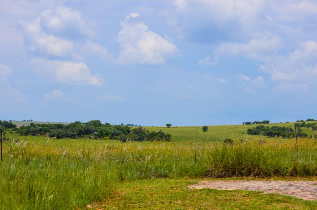 GALLERY - Stone Hill