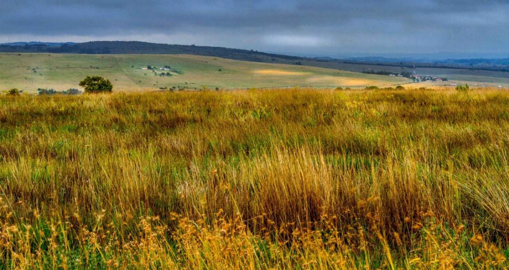 GALLERY - Stone Hill
